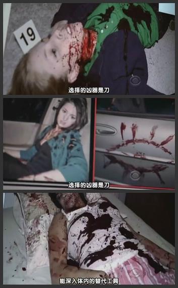 犯罪心理剧情介绍图标