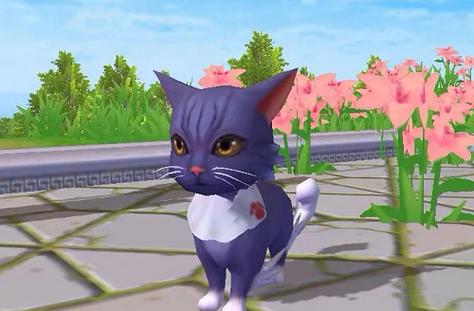 创造与魔法宠物猫图标