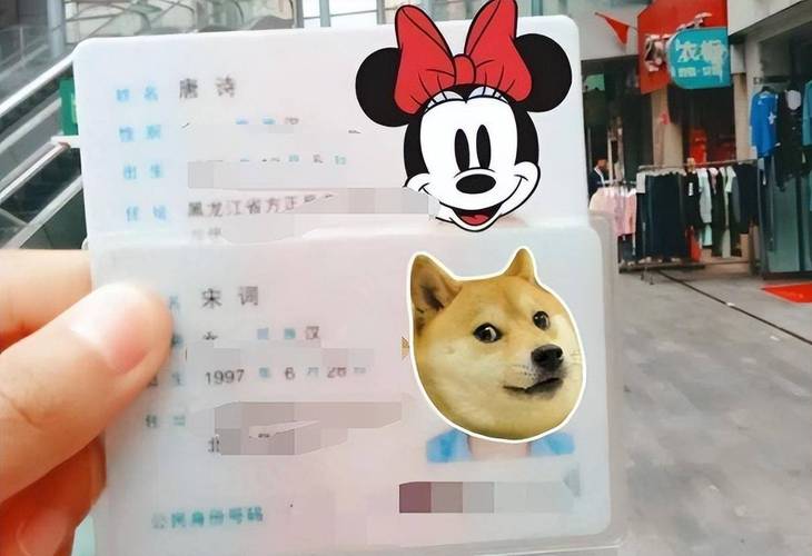 哔哩哔哩张三身份证号截图