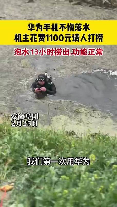 手机泡水里一天一夜还能修复吗图标