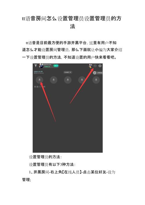 tt语音超级管理和管理员区别图标