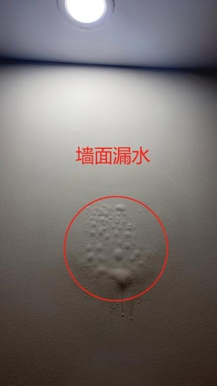 墙面渗水怎么处理最好图标