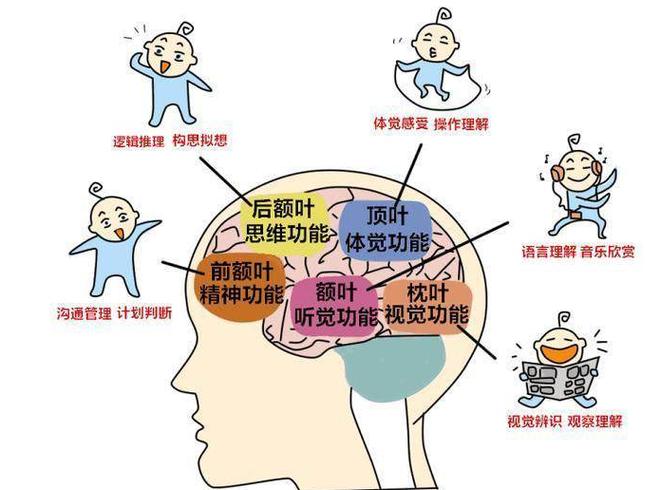 聪明孩子的五大特点图标