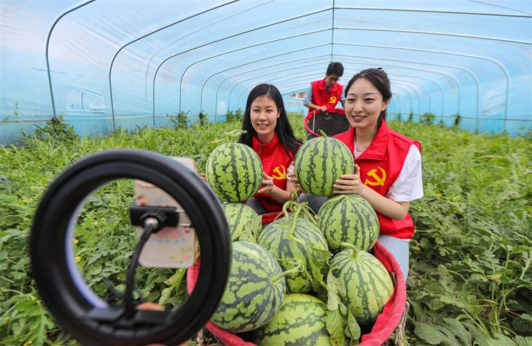 西瓜平台直播图标