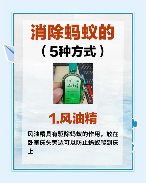 小蚂蚁怎么能彻底消灭图标