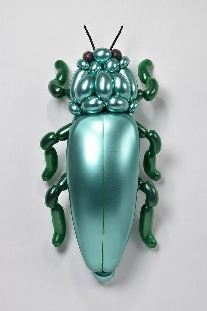 jewel beetle