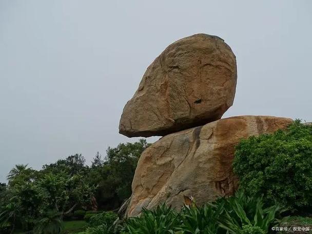 快音在哪里填邀请码图标