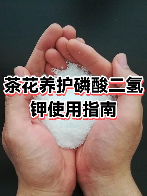 茶花用磷酸二氢钾的使用方法图标