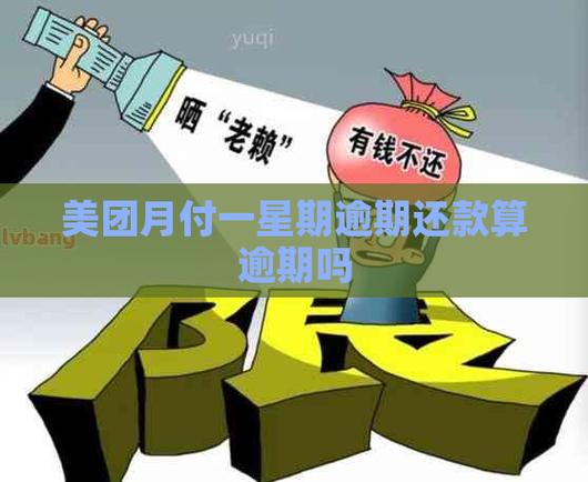 美团月付延期还款有利息吗图标