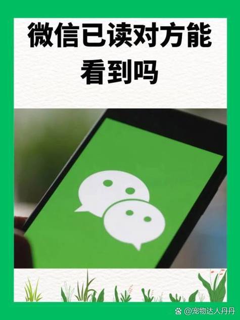 微信看过对方会显示已读吗截图