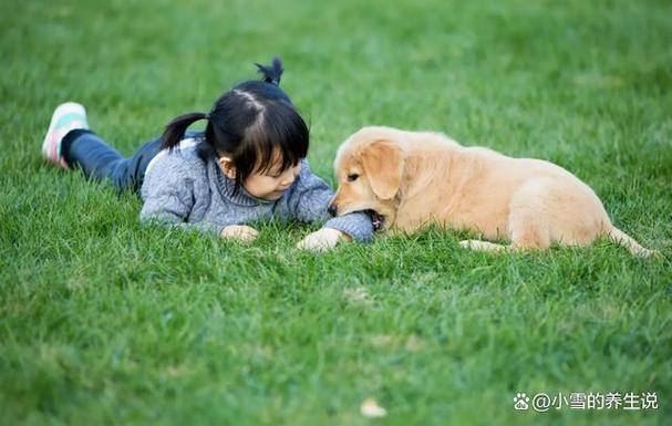 宠物图片图标