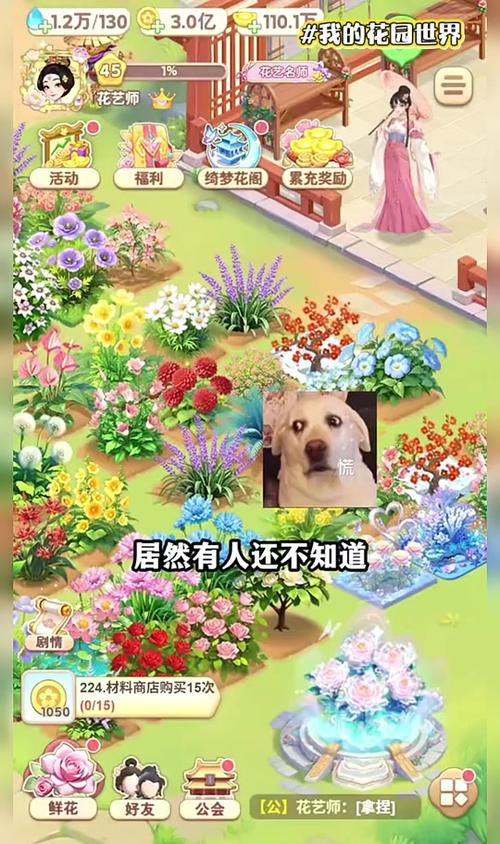 我的花园世界无法进入截图