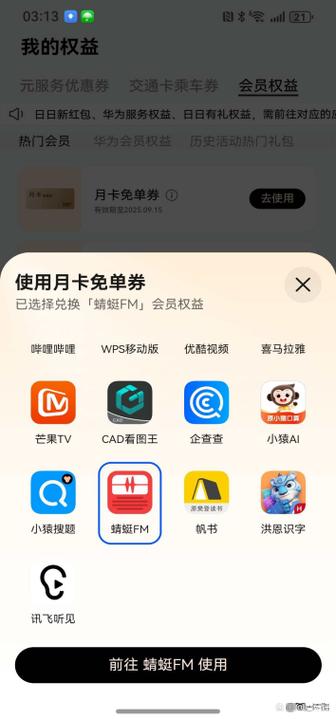 蜻蜓会员到期下载的还能听不图标