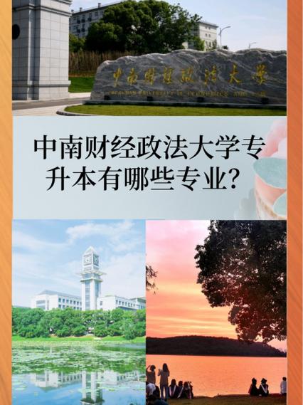 中南财经政法大学专升本截图