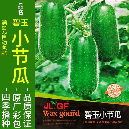 小冬瓜的种植方法和时间图标