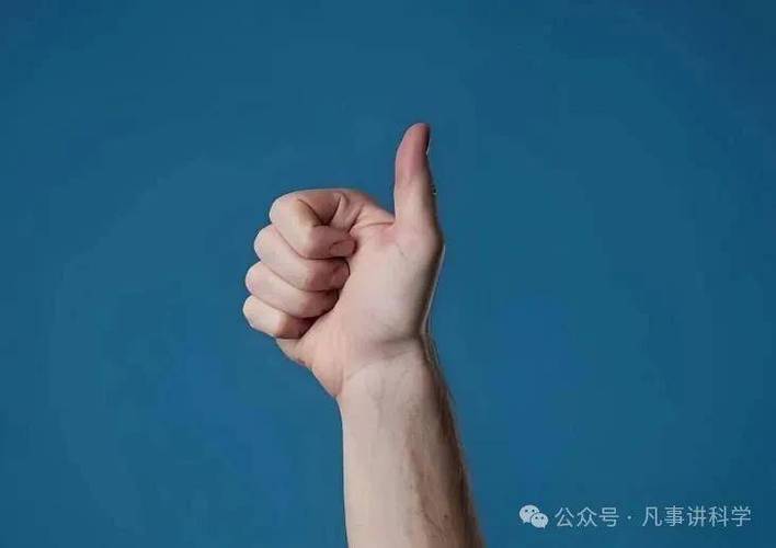 掌中看点真的还是假的图标