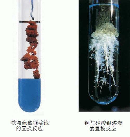 置换反应规律图标