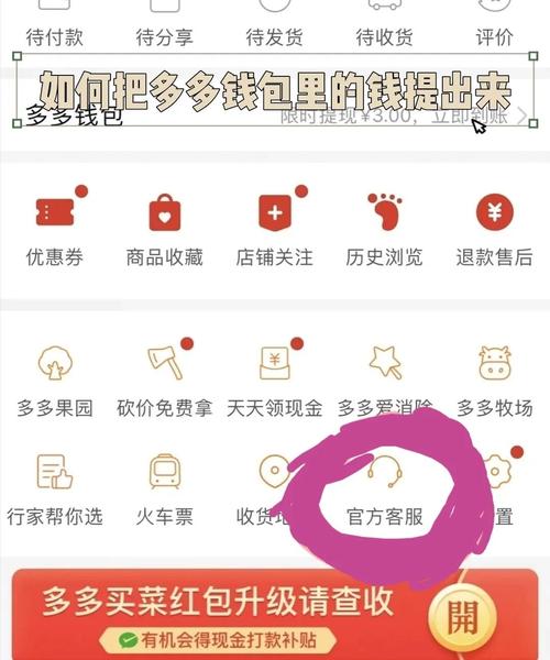 拼多多现金在哪领图标