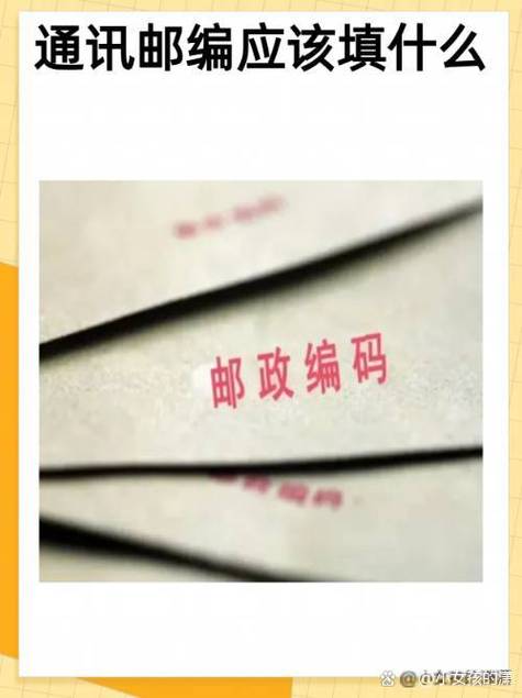 学生通信邮编写什么截图
