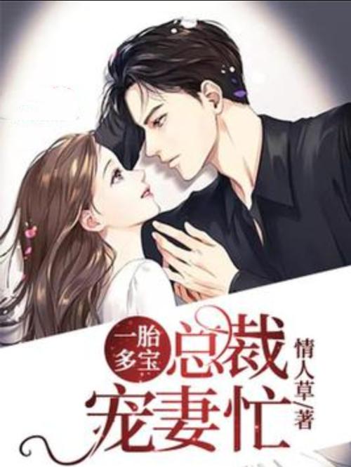 一胎多宝小说截图