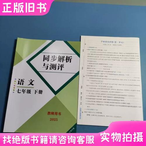 2025语文同步解析与测评图标