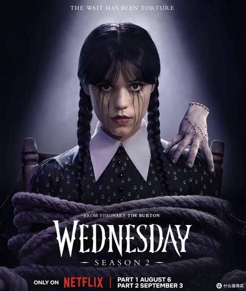 耐卡美剧官网图标