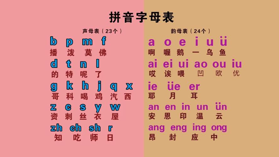 声母韵母教学视频截图
