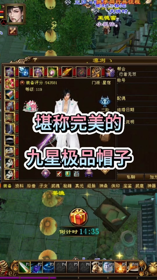 天龙八部神器双完美武器截图