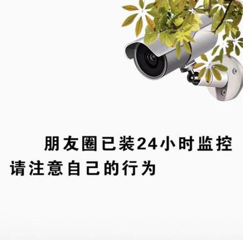 微信强制看朋友圈软件图标