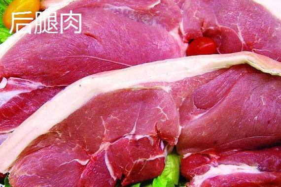 二刀前腿肉和后腿肉哪个好图标
