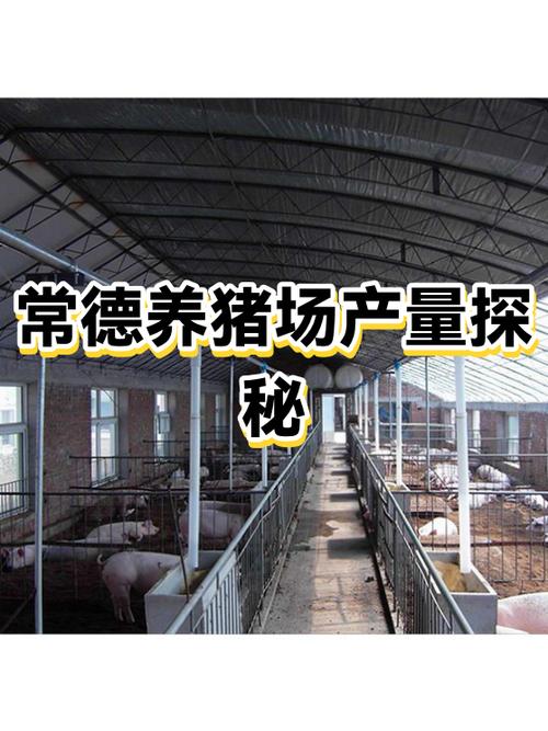 养猪10头一年能挣多少图标