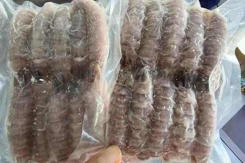皮皮虾最新网站