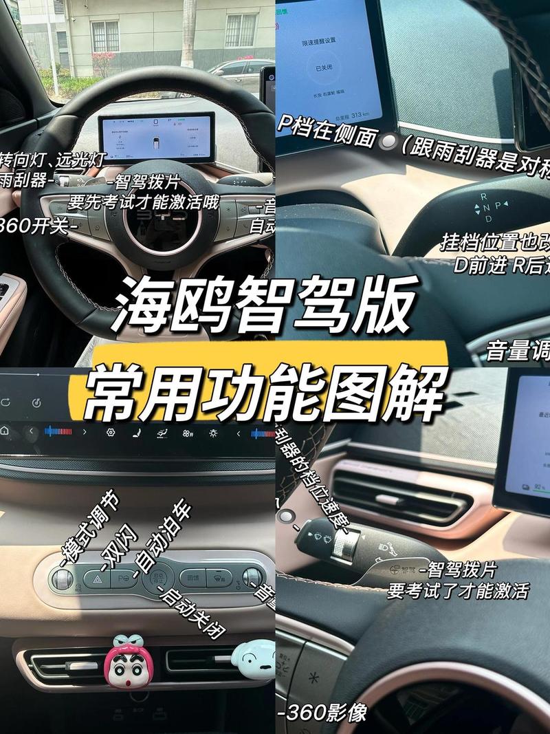 海鸥最新版下载图标