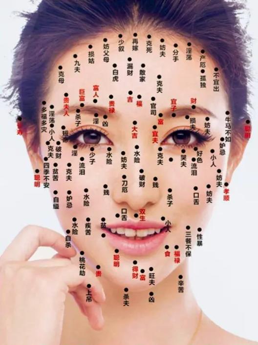 面部24个美容部位图标