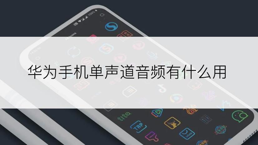 华为单声道音频有啥用截图
