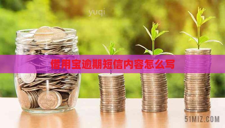 支付宝可以借别人用吗图标