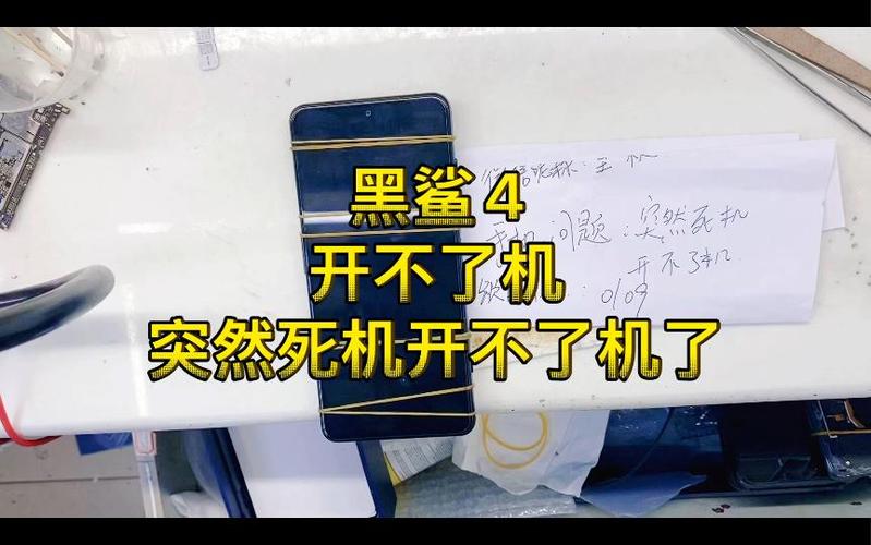 黑鲨手机玩着玩着就黑屏了图标