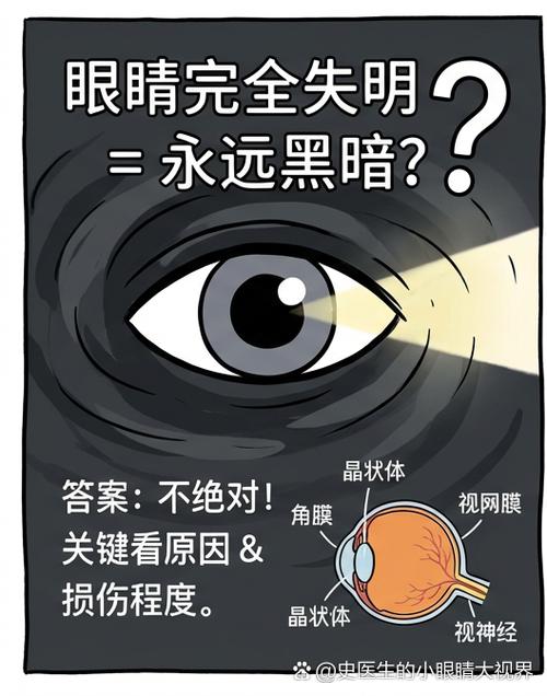 眼睛失明能治好吗图标