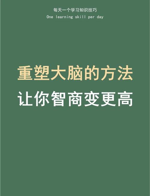 中国式人生智商怎么提升图标
