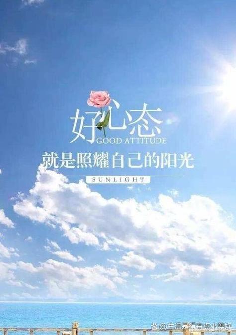高情商回复独乐乐的句子图标