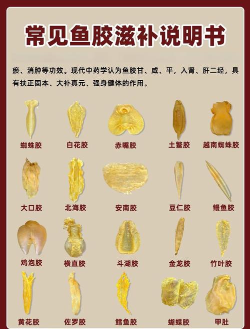 蛇胶的优缺点图标