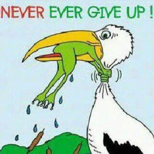 nevereverevergiveup翻译及原文图标