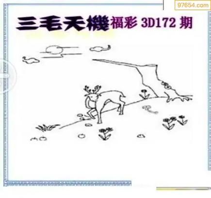 三毛图库3d三毛图谜图标
