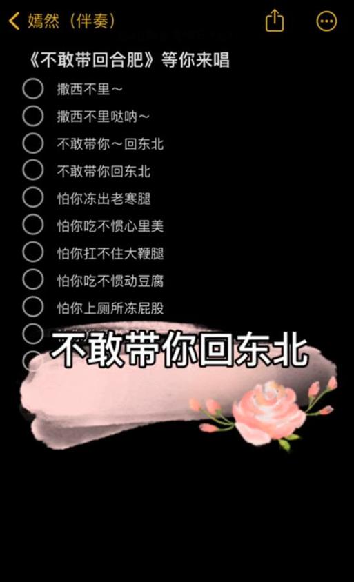 撒西不理原唱完整版图标