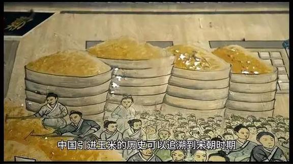 玉米革命图标