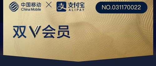 双v会员划算吗图标