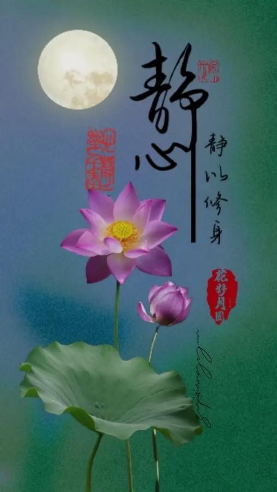 motionportrait动画没声音图标