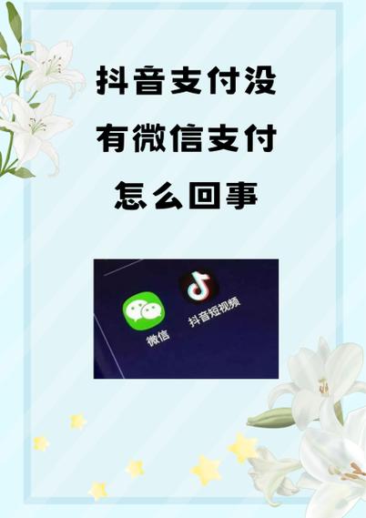 微信付款没有云闪付选项截图
