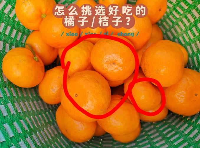 小桔试玩靠谱吗图标