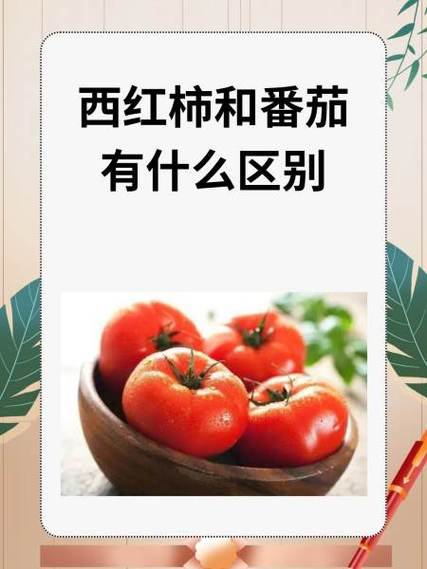 番茄不能和什么一起吃图标